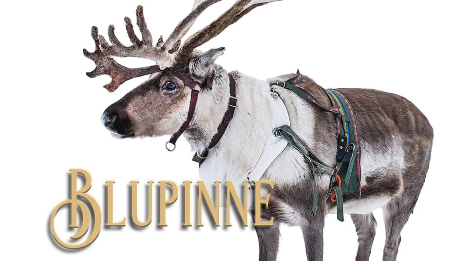 Blupinne the Reindeer | Santa's Villagers | PNP